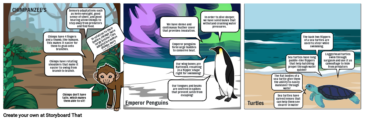animal adaptations Storyboard por 00a9264d