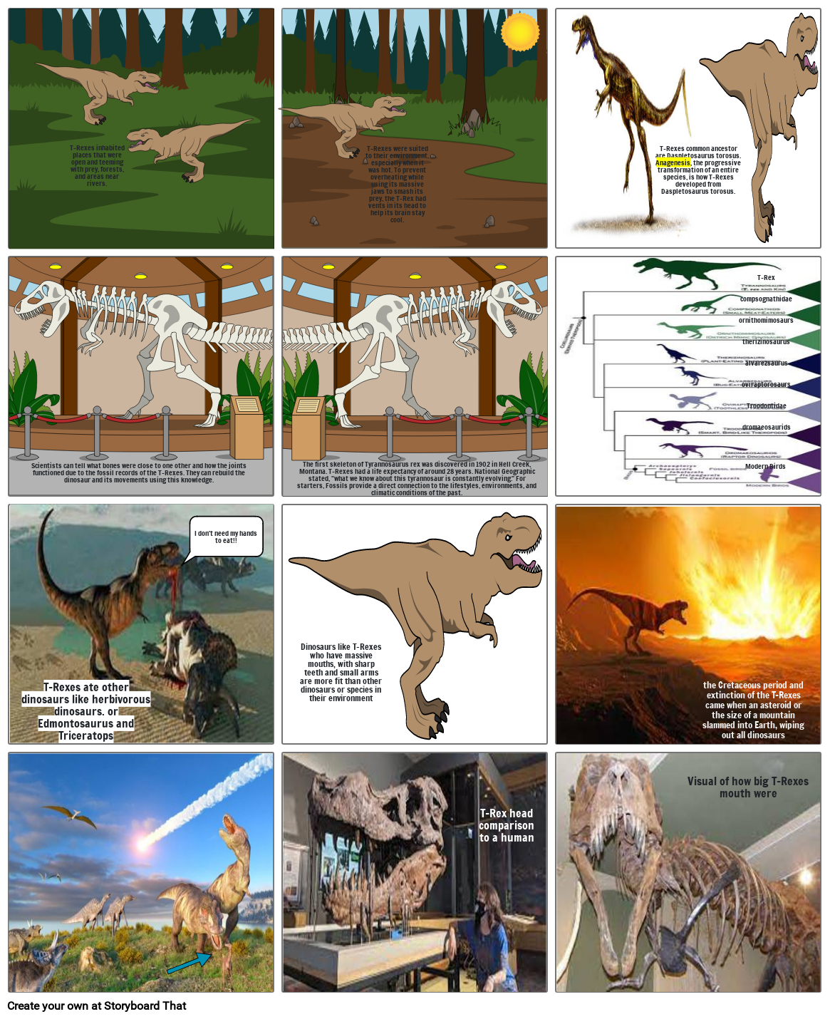 Bio Project Storyboard por 02f0badc