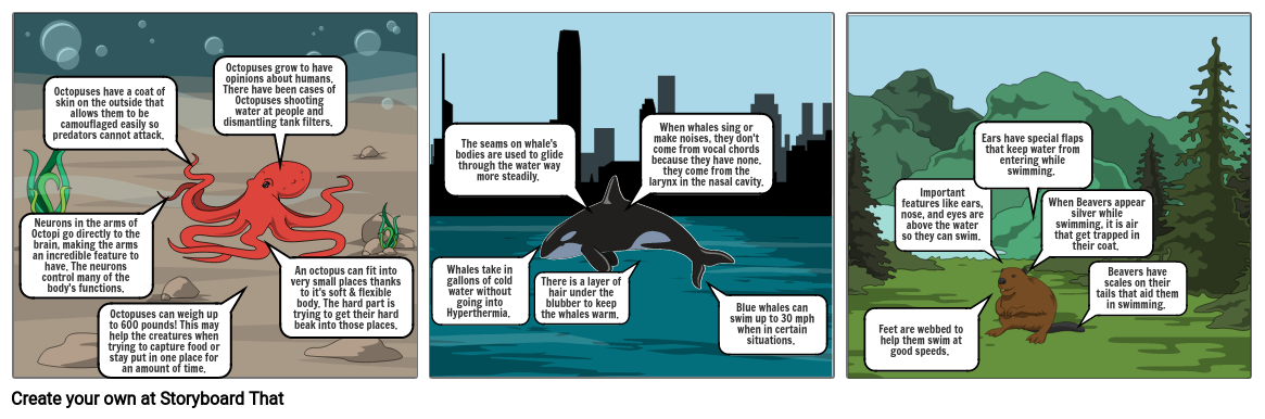 Octopus Adaptations Storyboard por 05984091