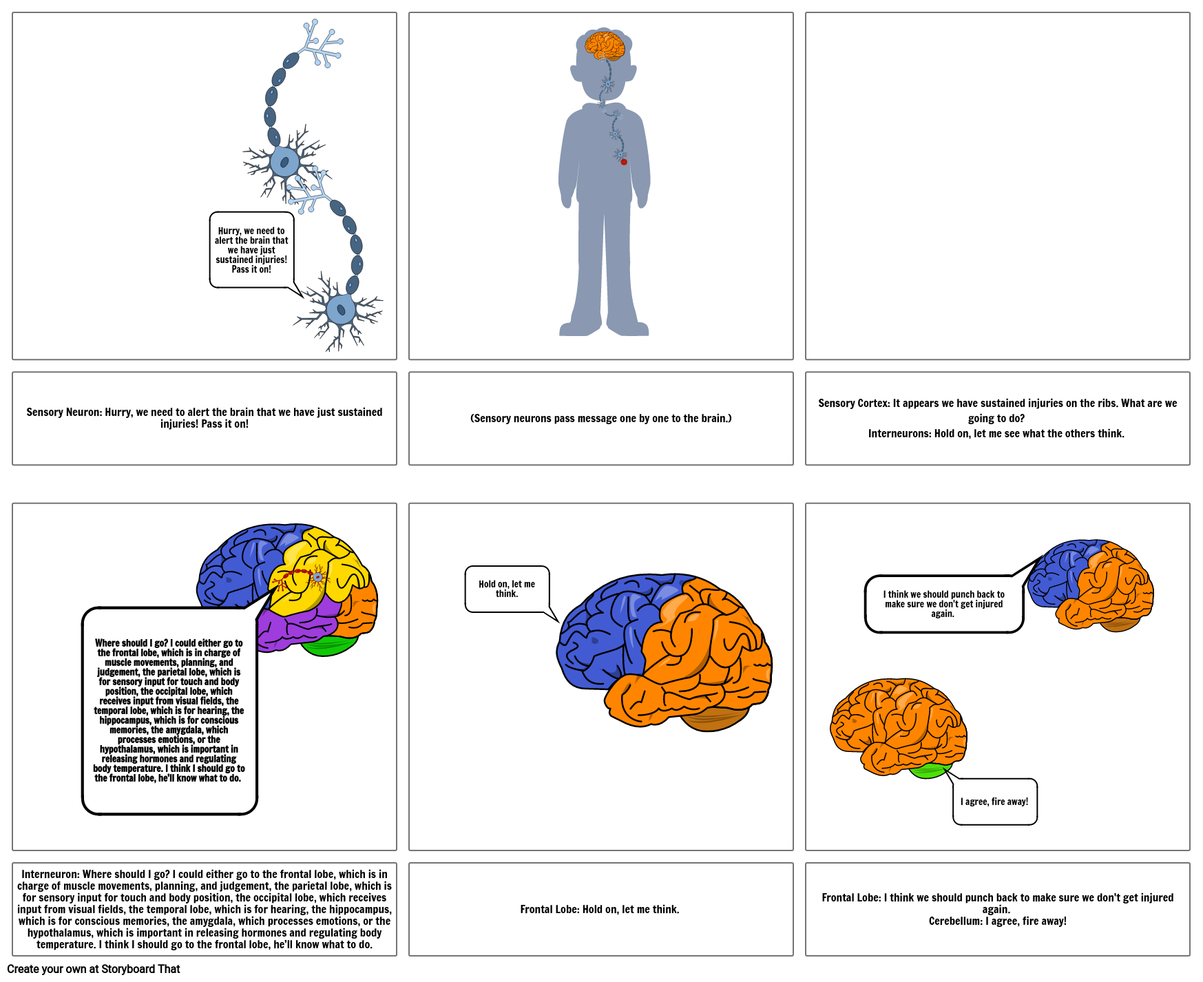 Brain Book Storyboard por 0598eb9a