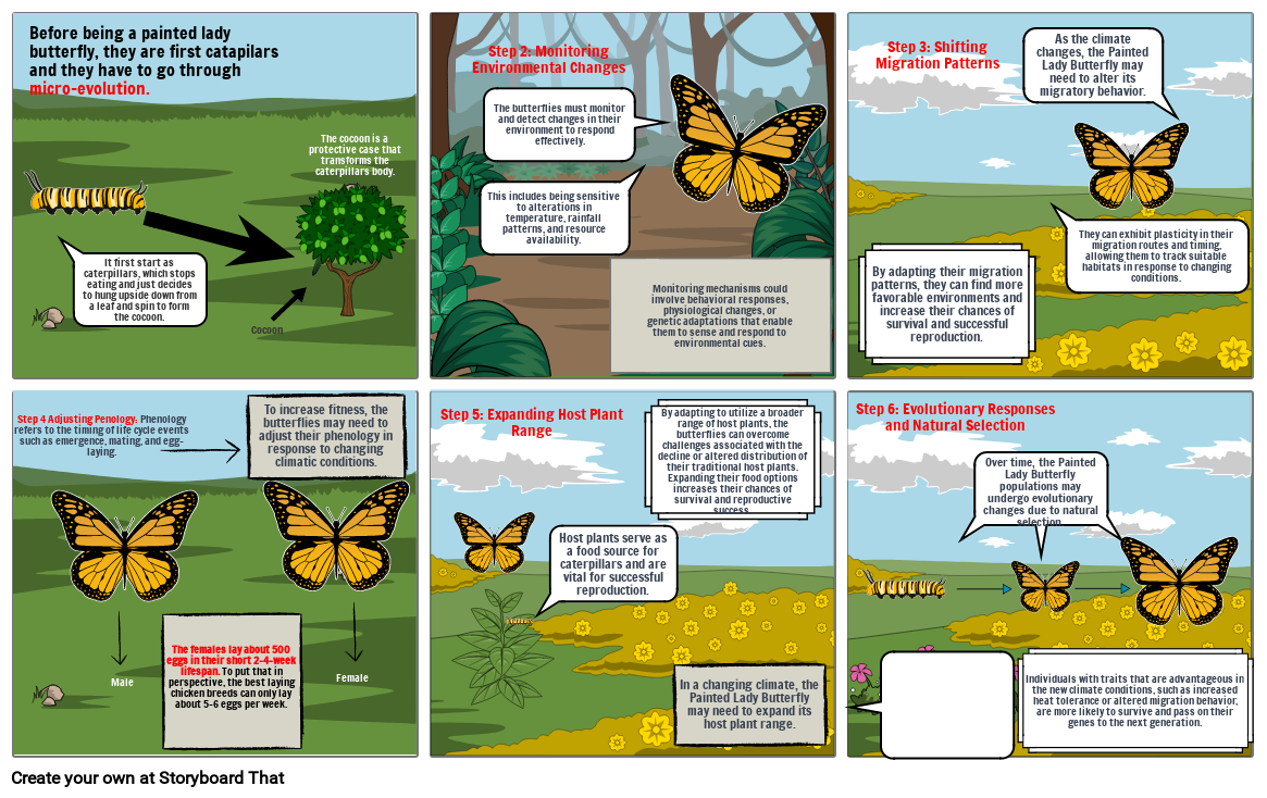 Painted Lady Buterflies Storyboard by 06c890d7