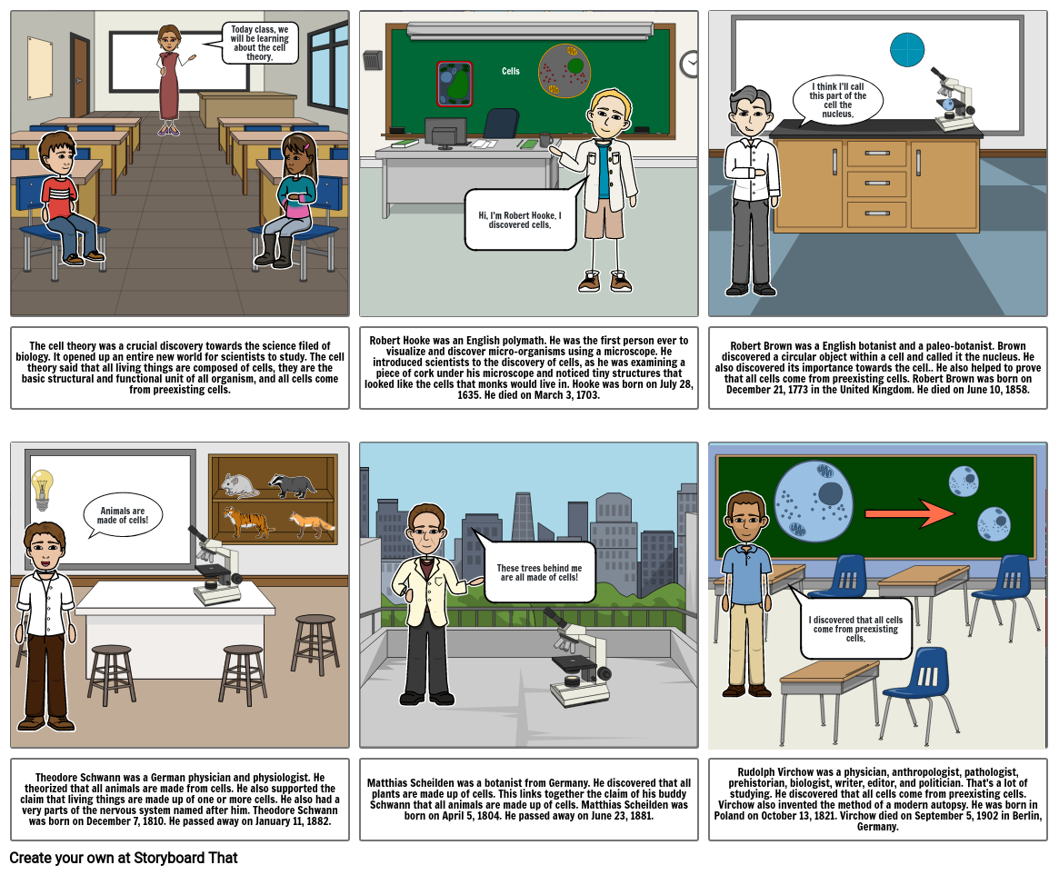 Cell Theory Storyboard By 0915f74b Cell Theory Storyboard By 0915f74b