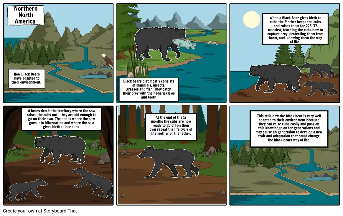 Natural Selection Storyboard Par 0a545bea natural-selection-storyboard-par-0a545bea