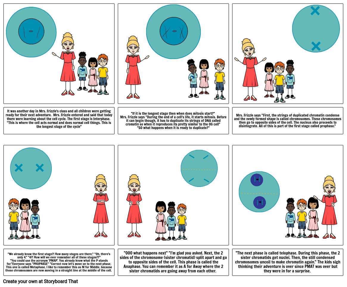 Mitosis Board 1 Storyboard by 0fb318ae