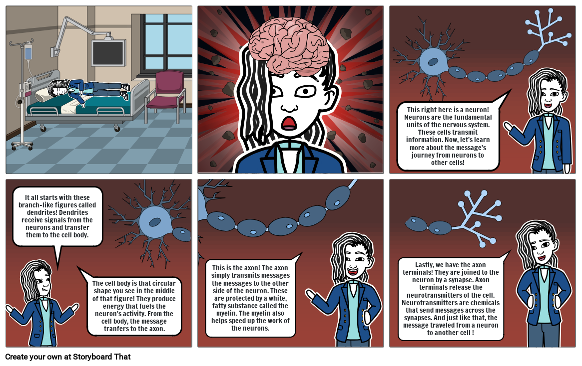 How the nervous system works Storyboard by 121e8124