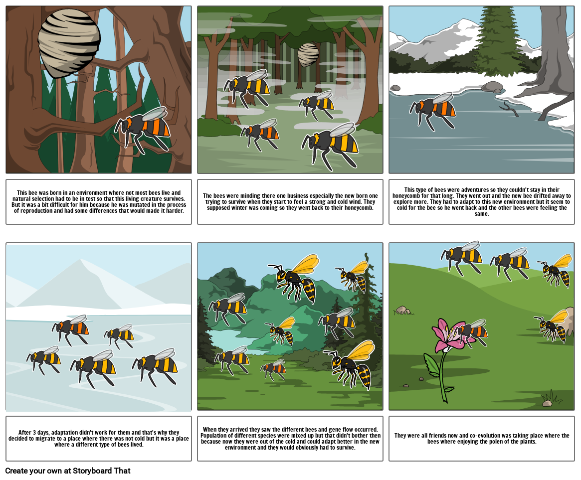 bees Storyboard by 1536ca94