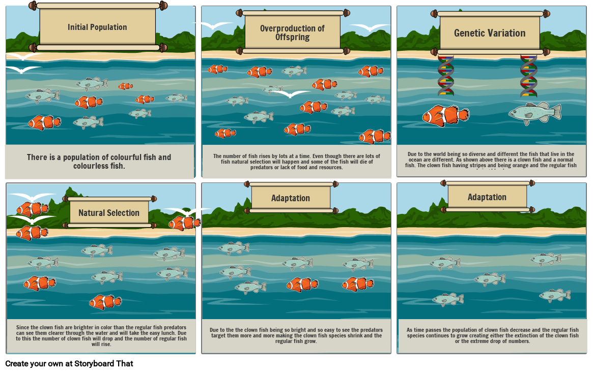 fishes Storyboard por 19229c41
