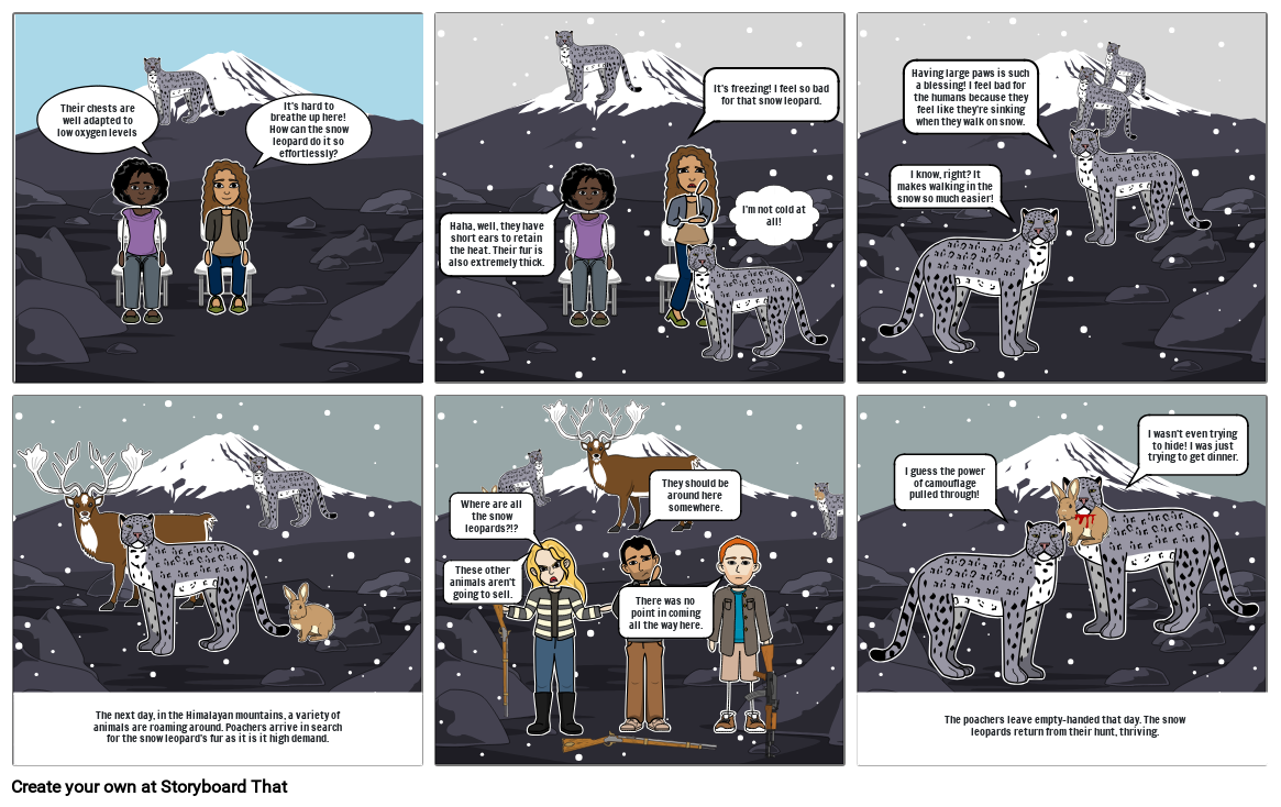 Snow leopard Storyboard por 19c7dd35