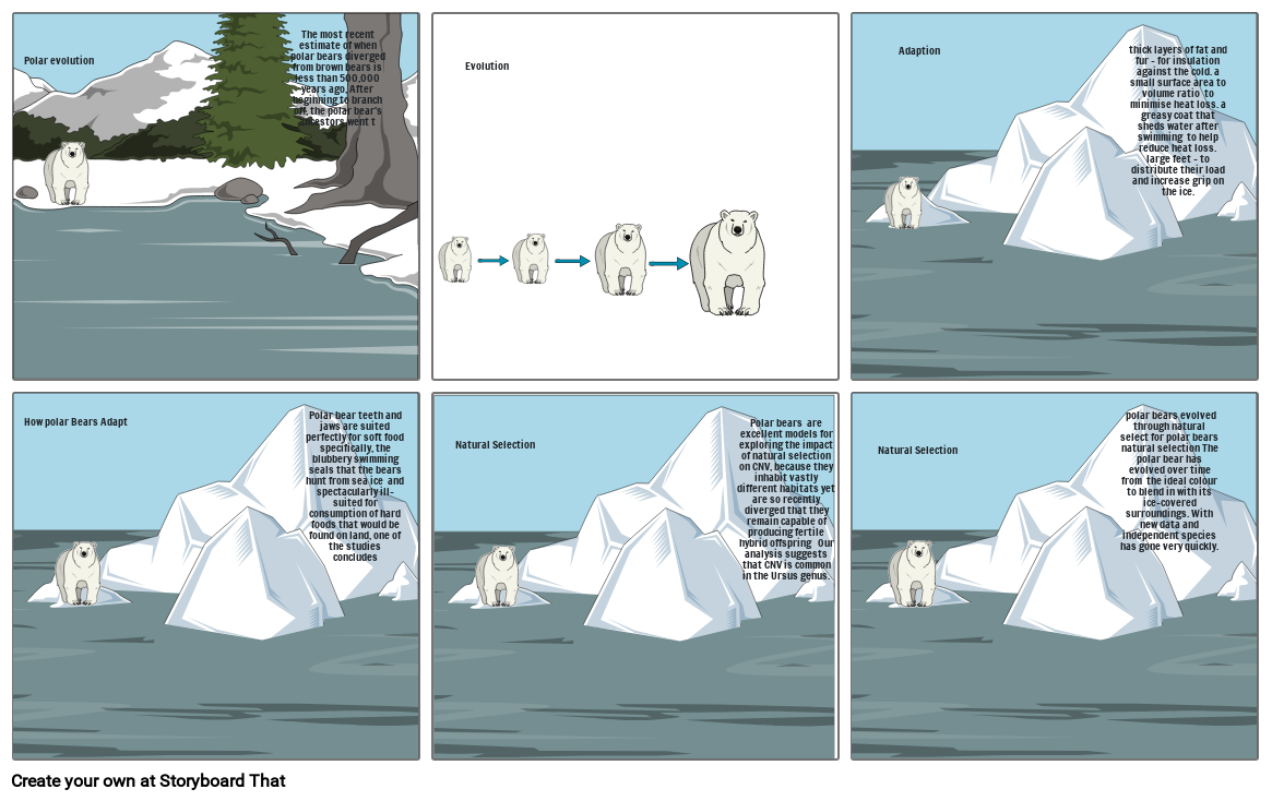 Polar evolution Storyboard por 1b9f8a46