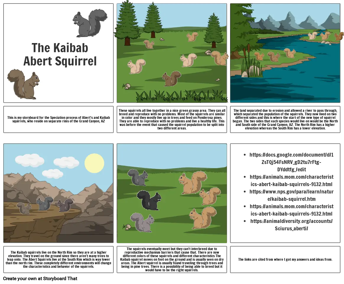 Kaibab & Abert Squirrel Storyboard by 1d1b145c