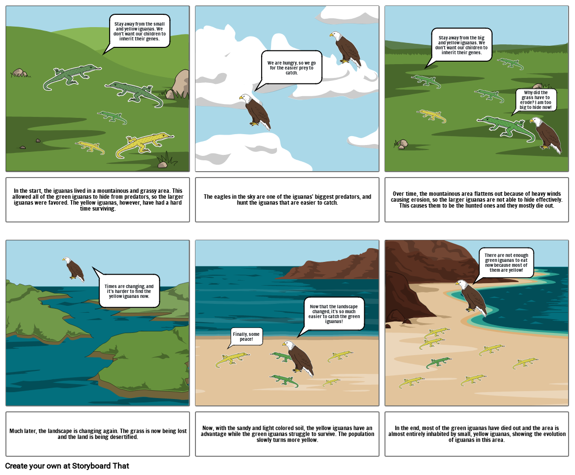 Evolution Storyboard Storyboard by 20e461f0