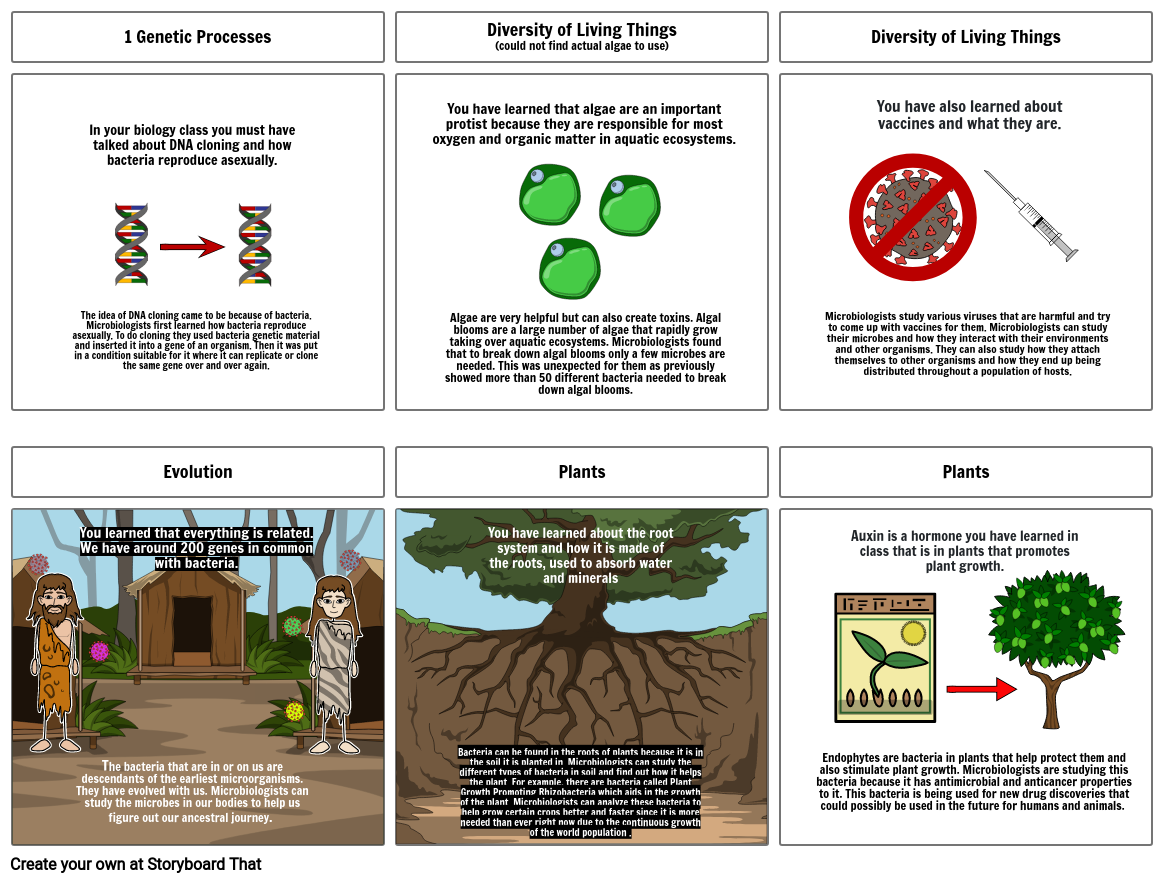 The Life Of A Microbiologist II Storyboard Por 21f3132b the-life-of-a-microbiologist-ii-storyboard-por-21f3132b