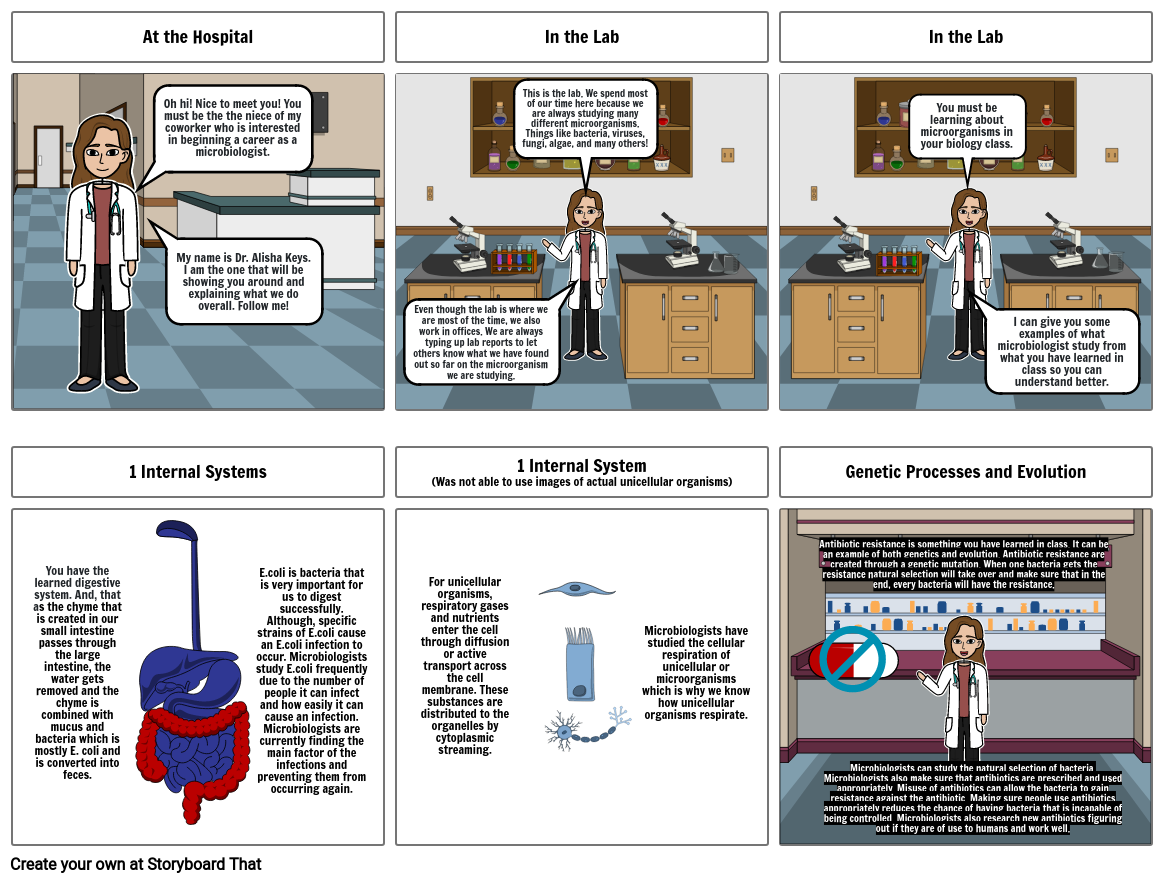 The Life of a Microbiologist Storyboard por 21f3132b