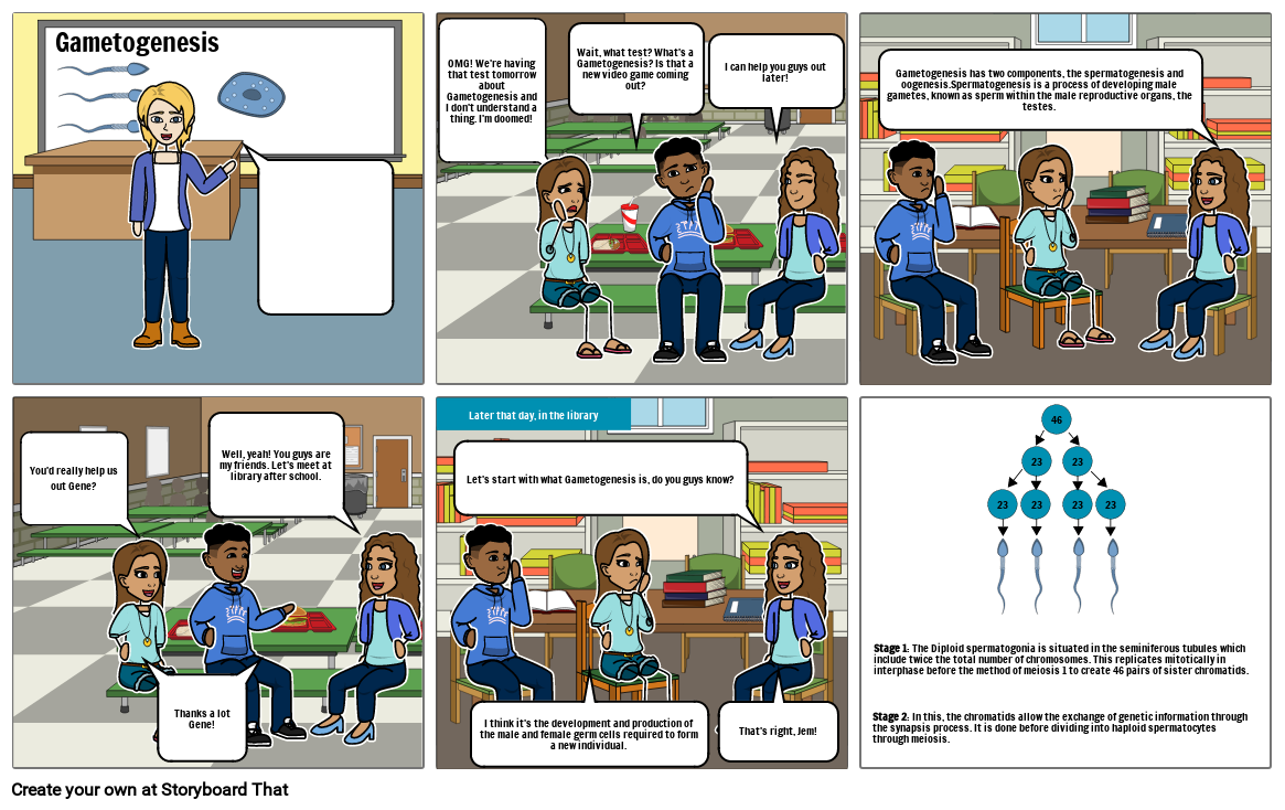 Gametogenesis Storyboard por 23571deb