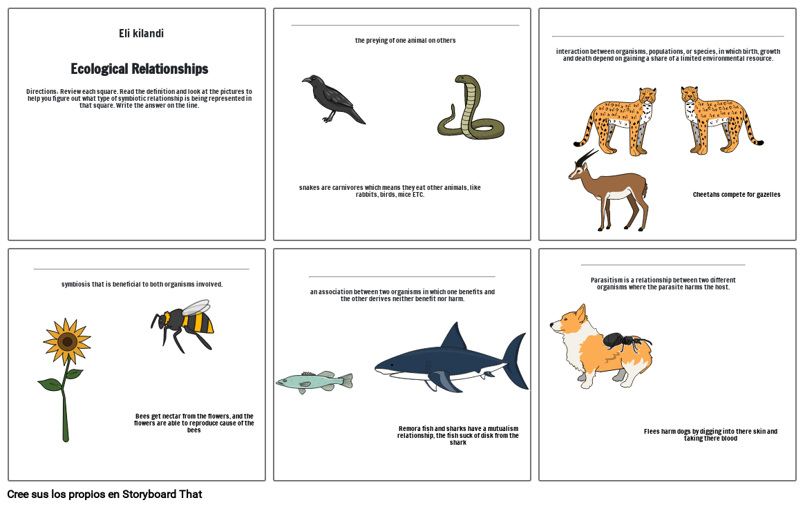 Relationships in an Ecosystem Storyboard by 245a2148
