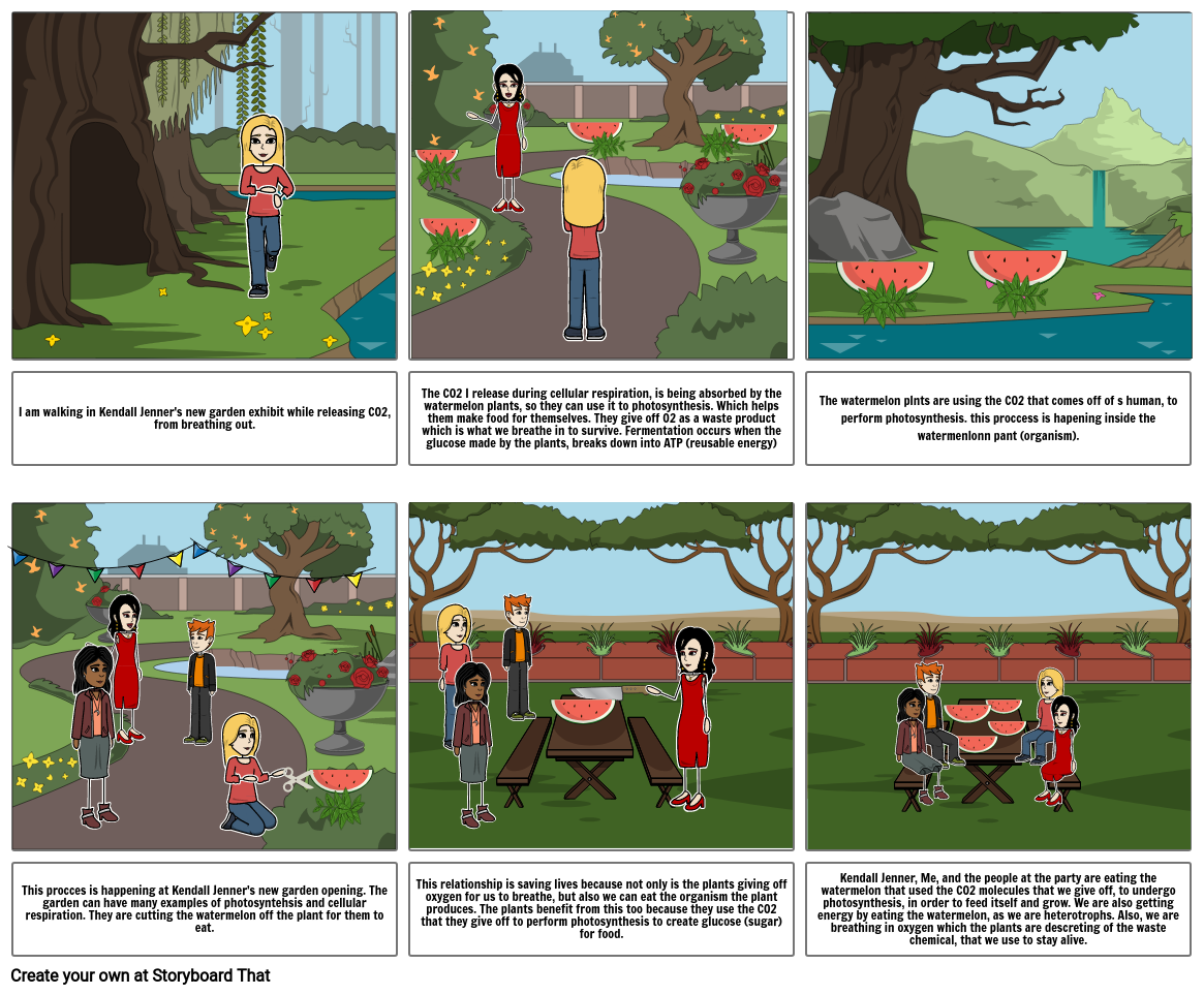 Biology Assignment Storyboard par 25798ca7