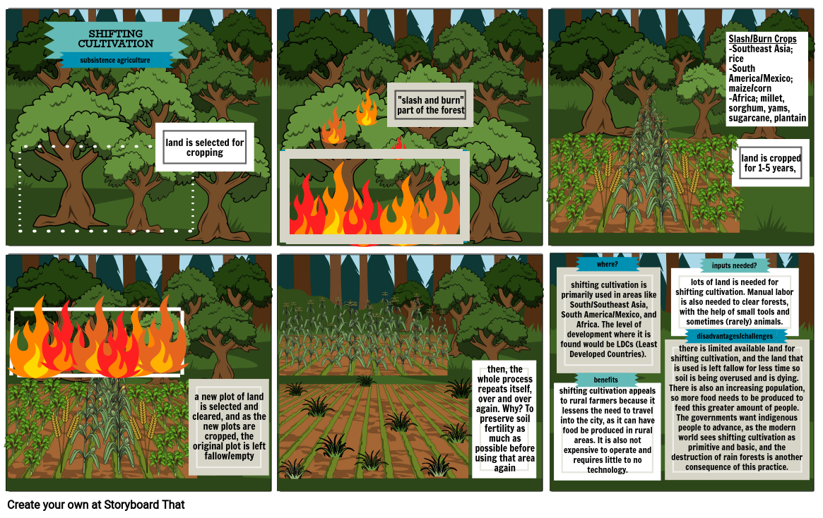 Rice Terracing - APHUG Agriculture Storyboard Rice Terracing - APHUG Agriculture Storyboard