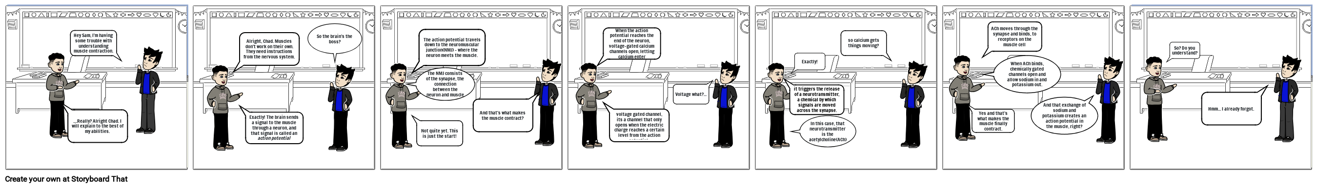 Muscle contraction Storyboard por 27297dce