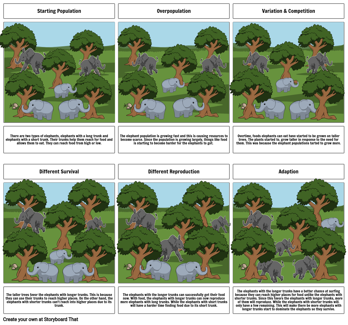 Natural Selection Storyboard by 2a9ed8cb