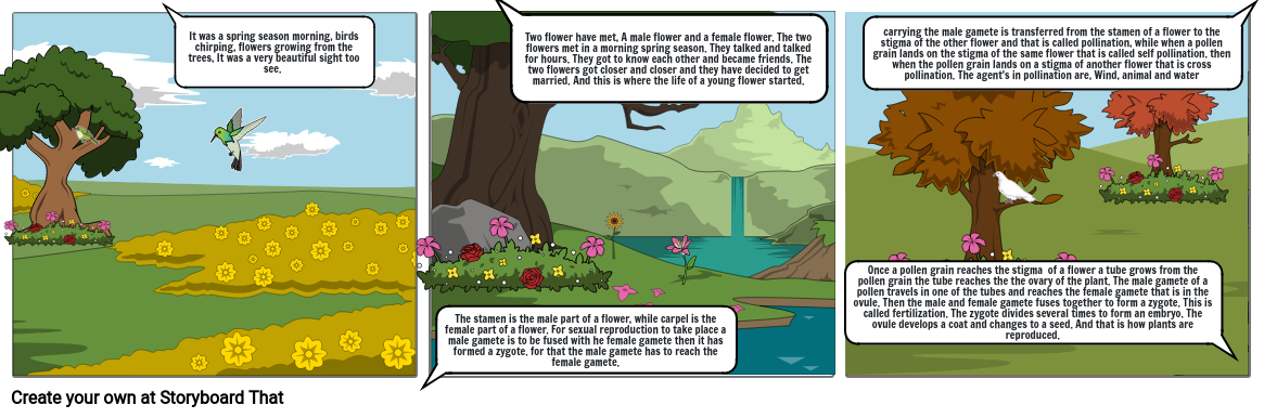 Reproduction in Plants Storyboard by 2cfe2ffc