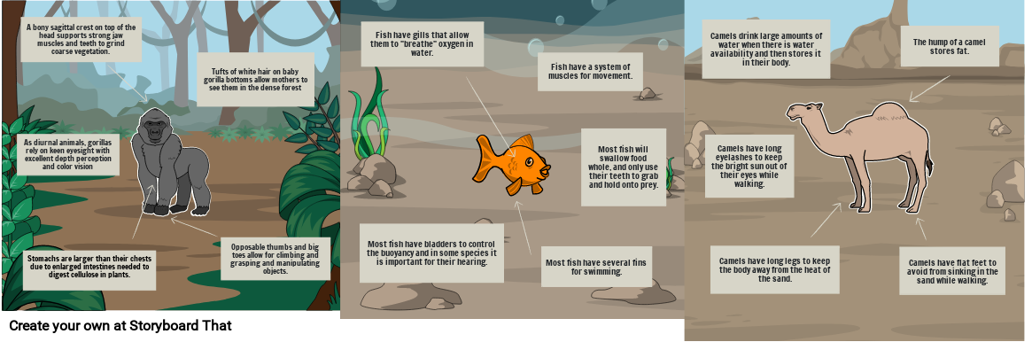 Adaptation Storyboard by 2ef17082