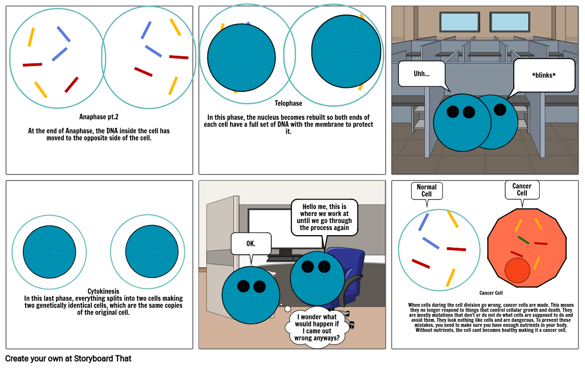 Cell Cycle 2 Storyboard por 30411d5d
