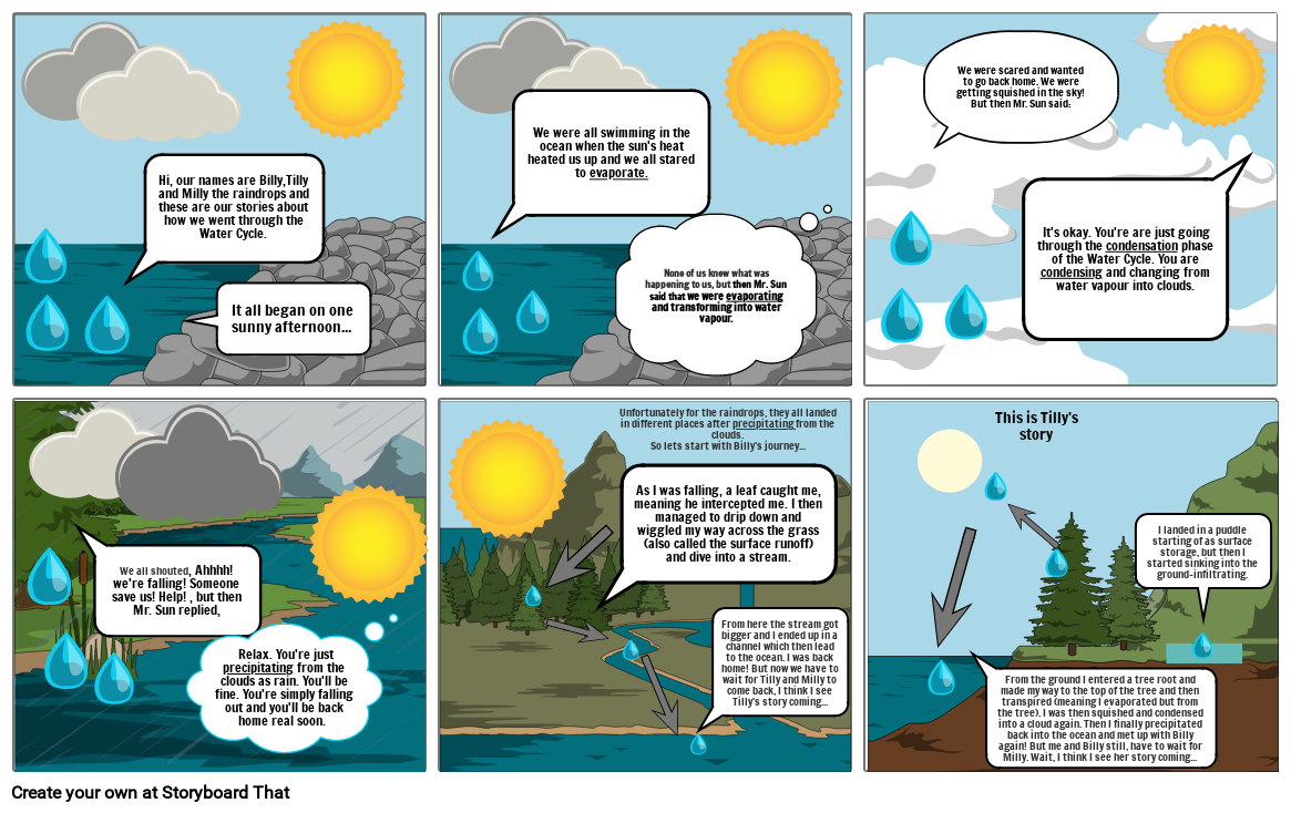 water cycke project Storyboard by 30dbb4c2