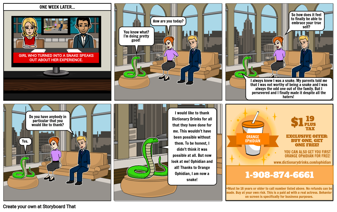 Aggrandized Diction Project - Part 5 Storyboard