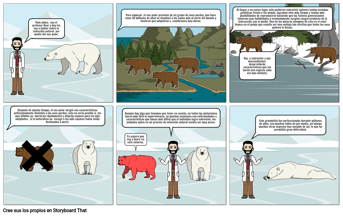 Oso Storyboard por 35d796c2