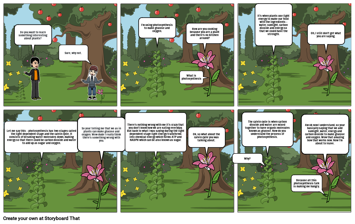 Photosynthesis Storyboard by 3b72d948