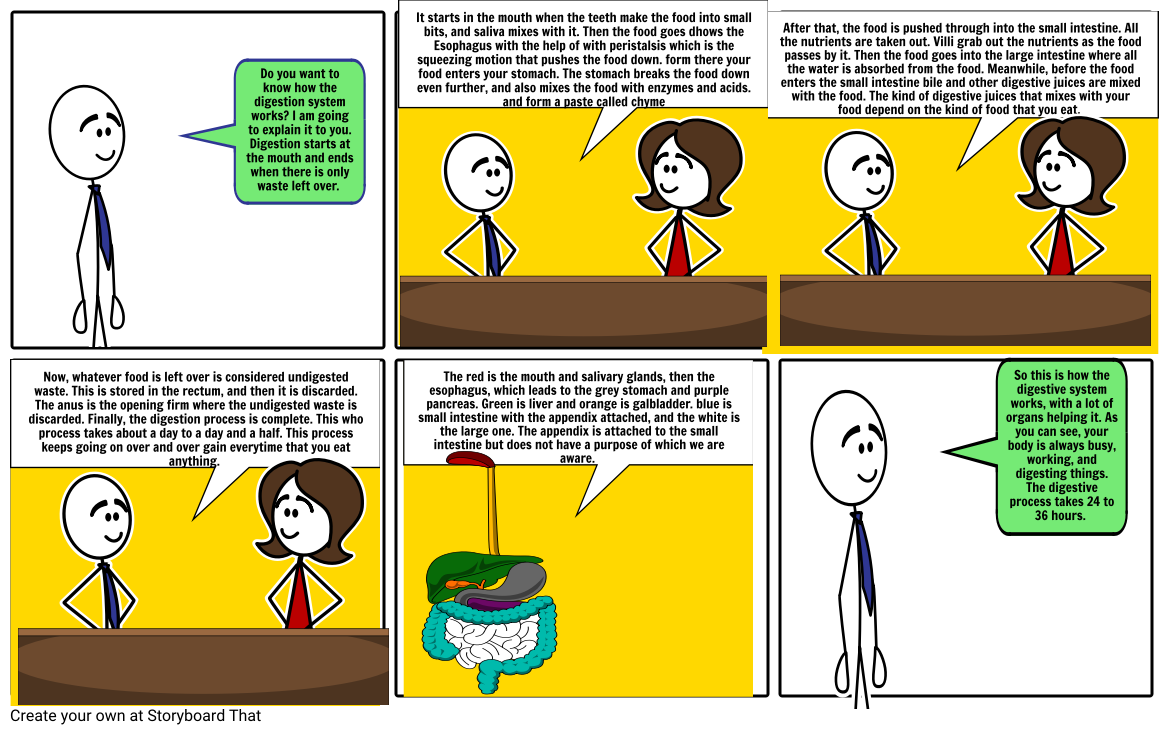 Digestive system Storyboard by 4382a05a43263