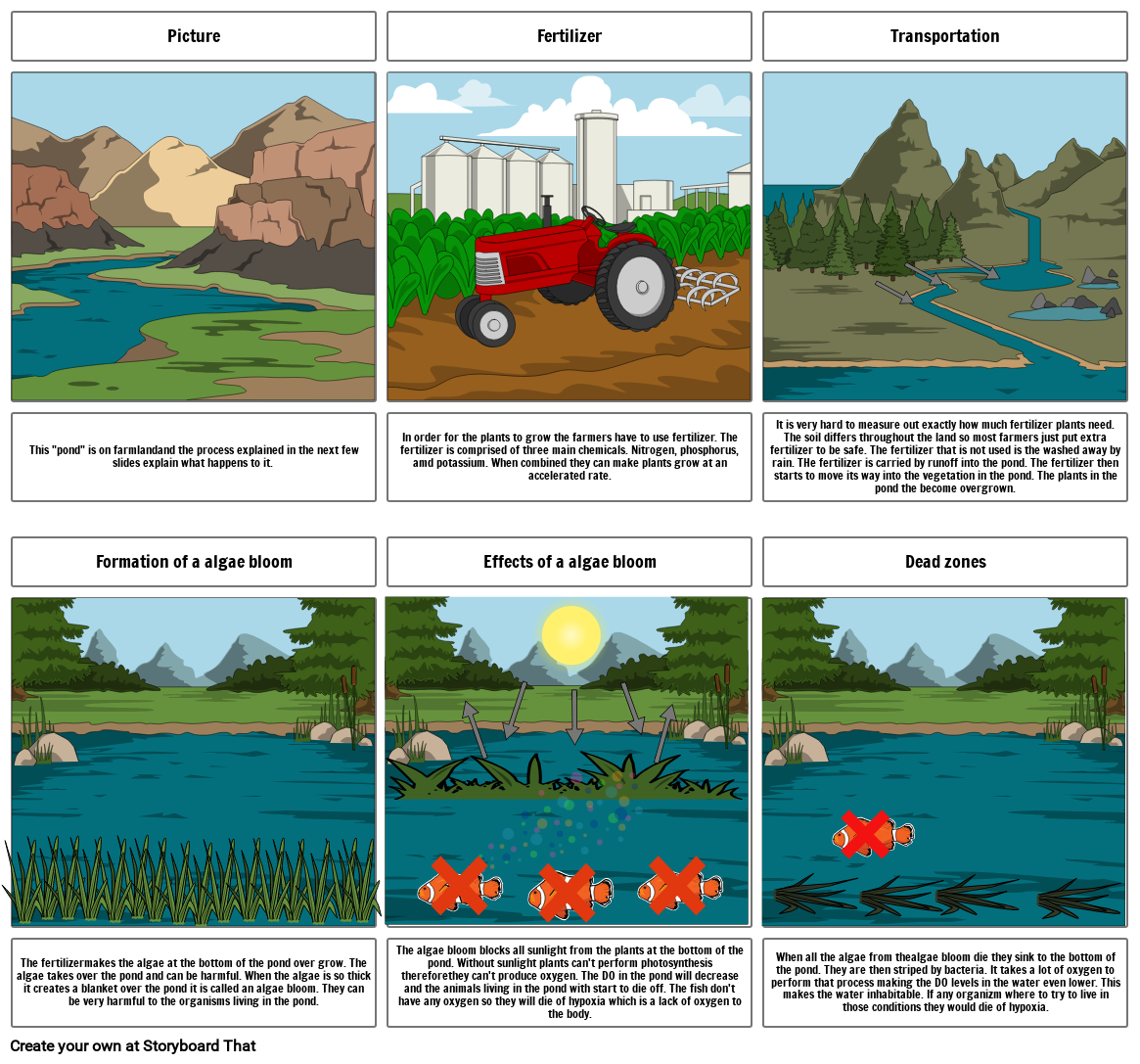 Eutrophication Storyboard by 45daaeae