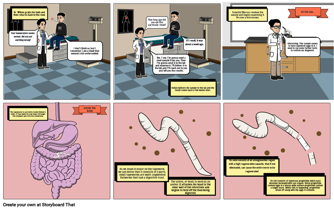 Little Kel and the tape worm infection Storyboard