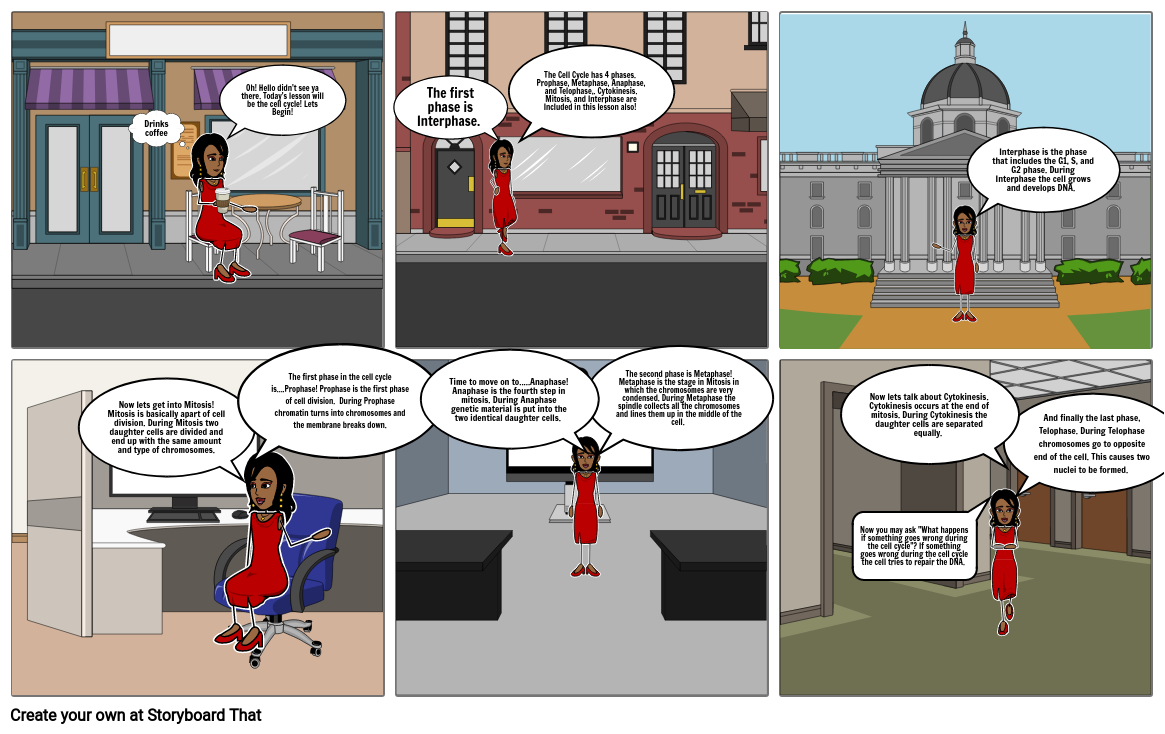 The Cell Cycle Storyboard by 4a16021e