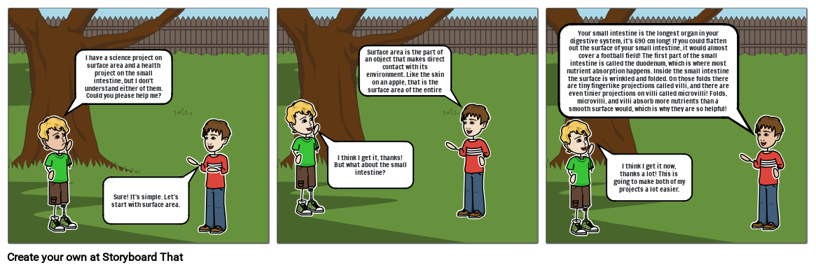 Science Small Intestine Surface Area Project Storyboard