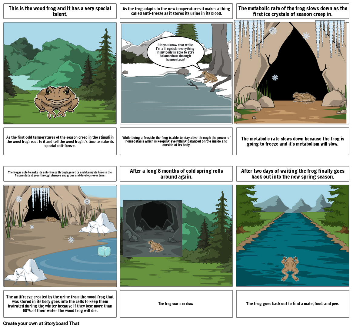 The Wood Frog Storyboard by 4ae2da83