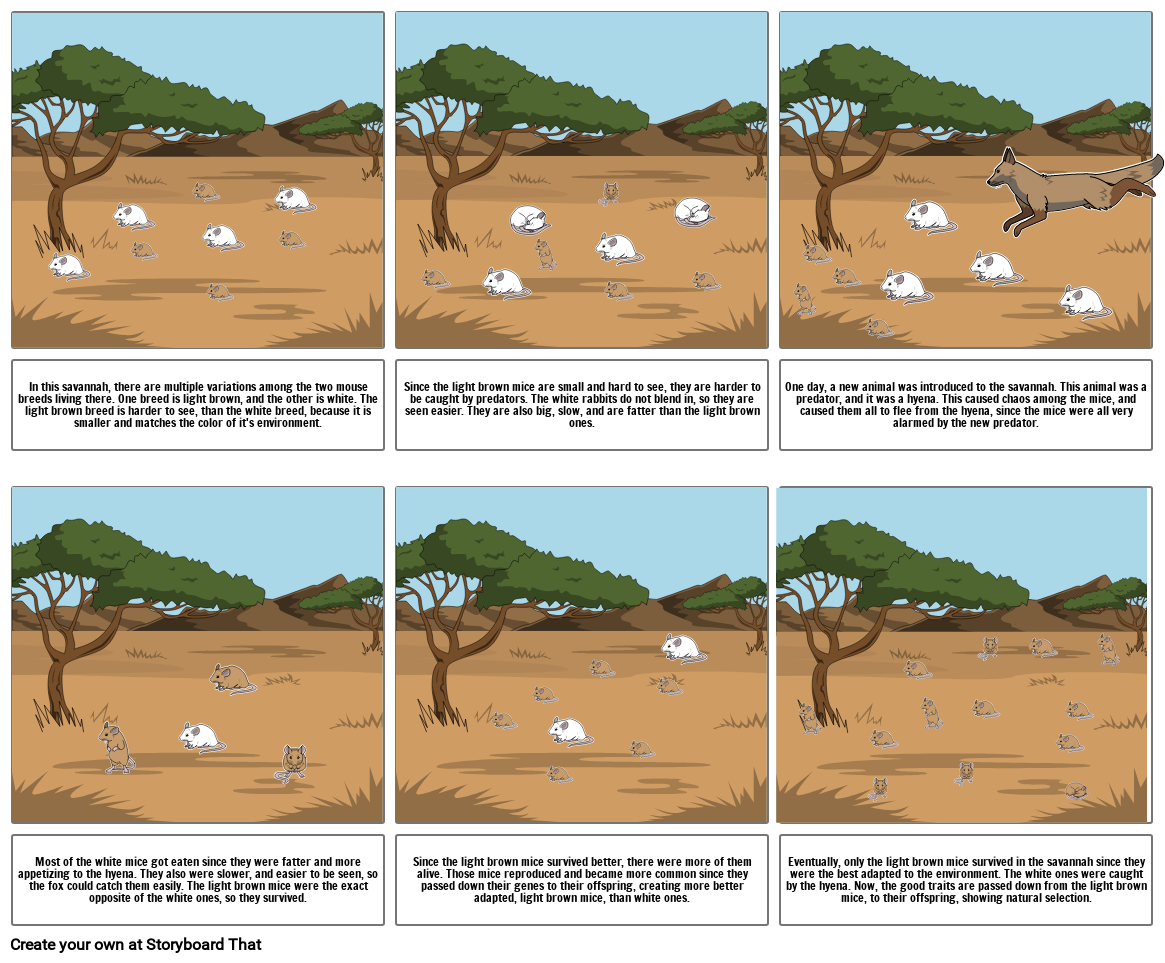 Natural Selection Storyboard Selection Pressure Natural Selection, HD