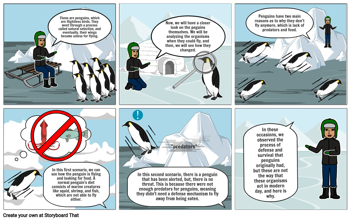 Penguins - Natural Selection Storyboard by 505655bf