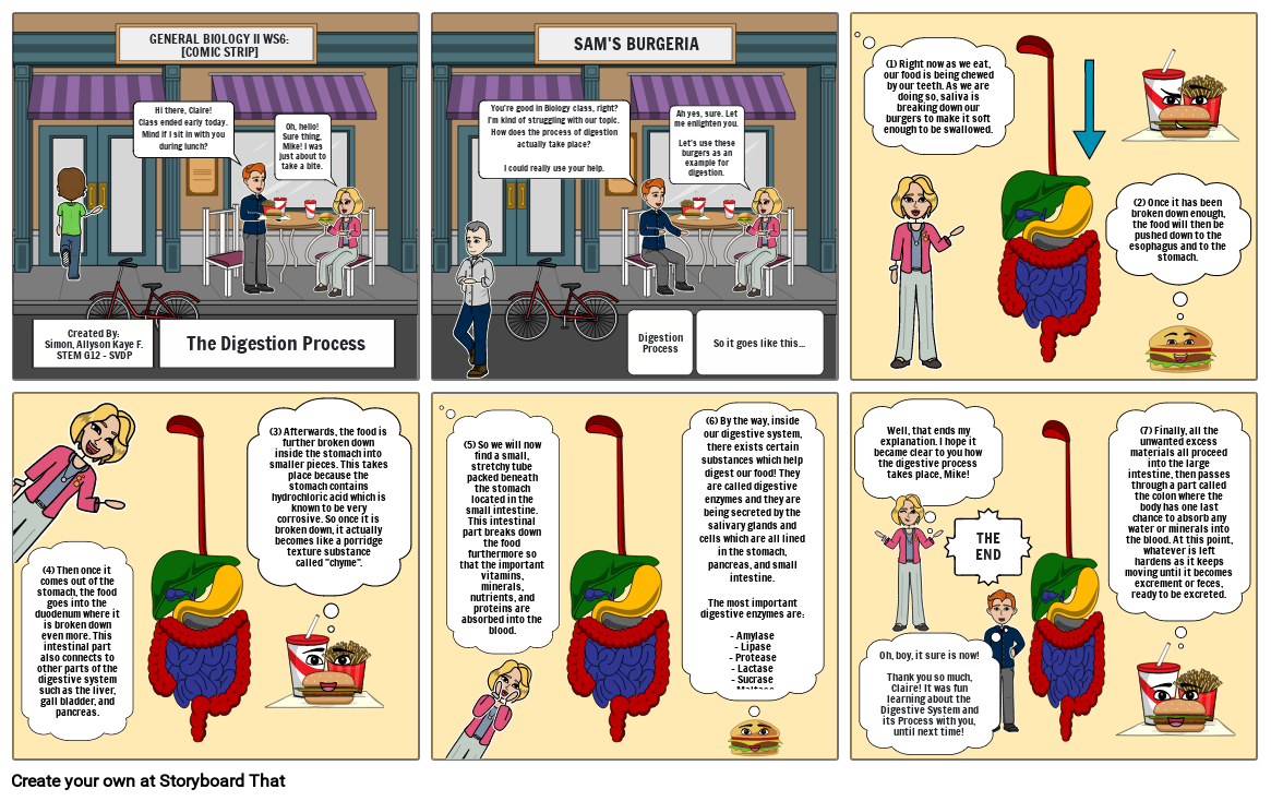 SVDP SIMON GB2 WS6 DIGESTIVE PROCESS COMIC STORYBOARD svdp-simon-gb2-ws6-digestive-process-comic-storyboard