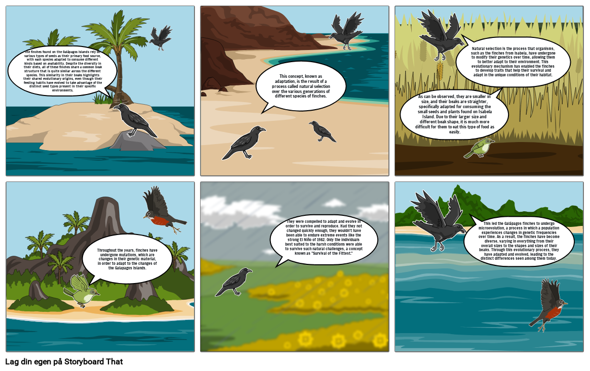 Finches storyboard Storyboard par 5659bd85