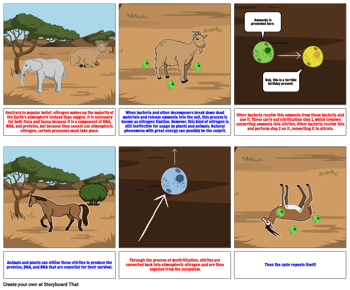 Nitrogen Cycle Story Storyboard por 5b7cbad1