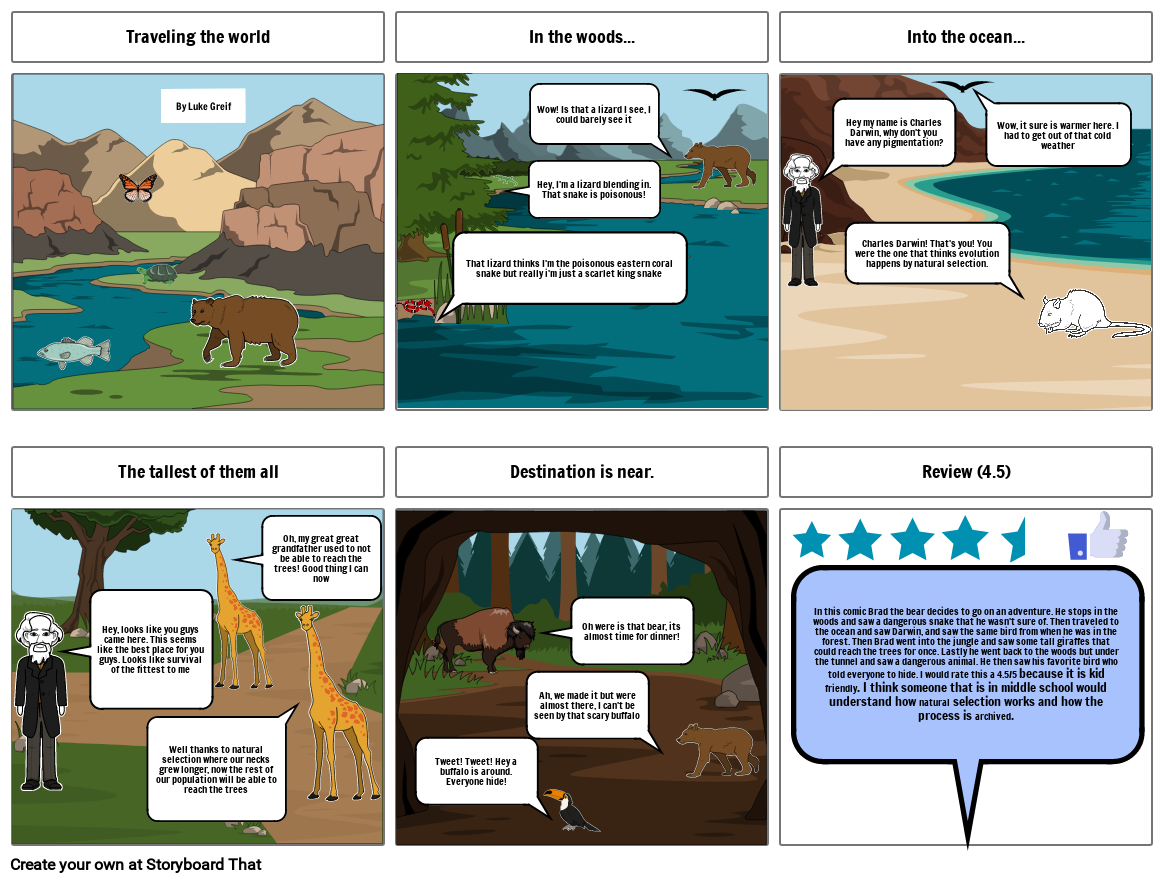 Evolution Project Storyboard por 5bbc9255