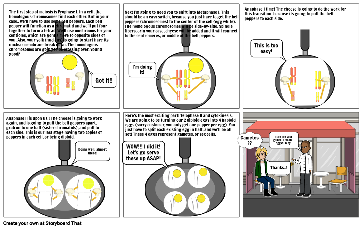 Mitosis Storyboard Storyboard by 5e48af56