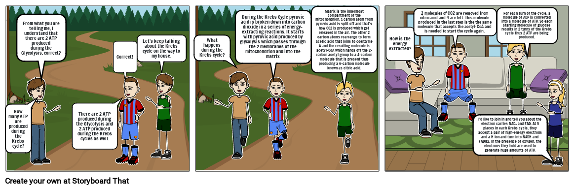 Cellular Respiration 3 Storyboard by 6370a44b
