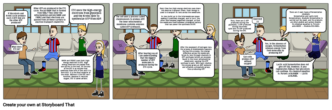 Cellular Respiration 4 Storyboard By 6370a44b