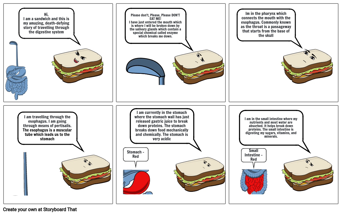 Science Task Storyboard por 6446603b