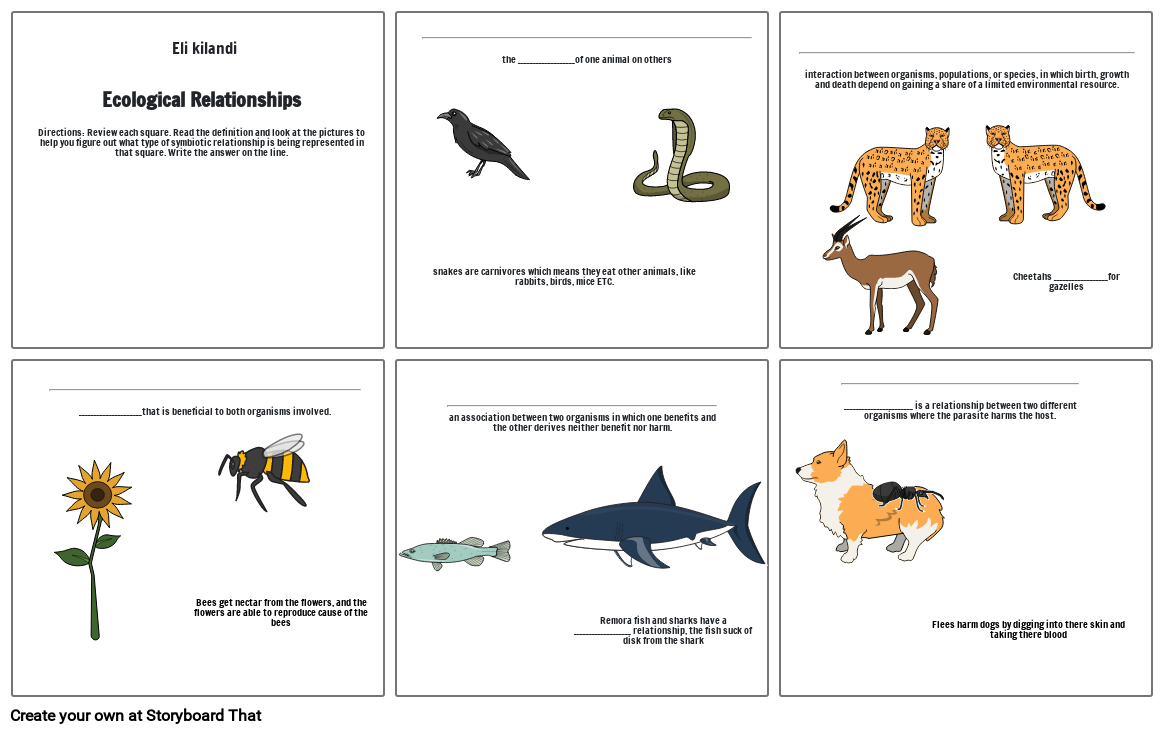 Ecological relationships storyboard Storyboard