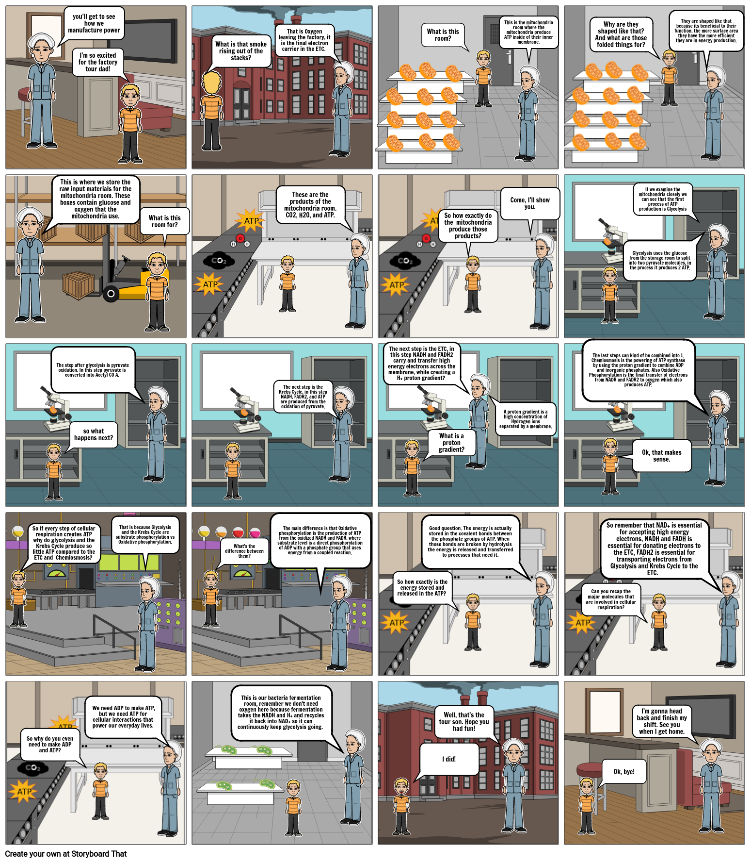 ap bio Storyboard por 6799c435