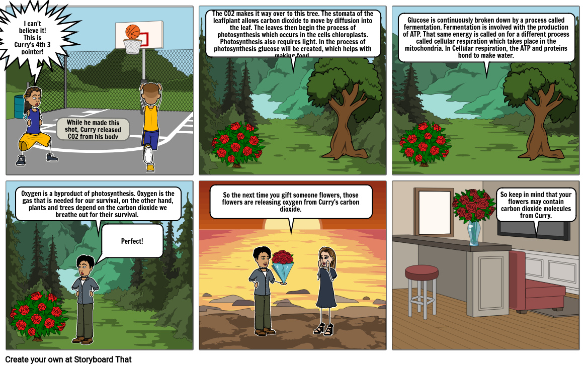 Biology Project Storyboard por 6f9299df