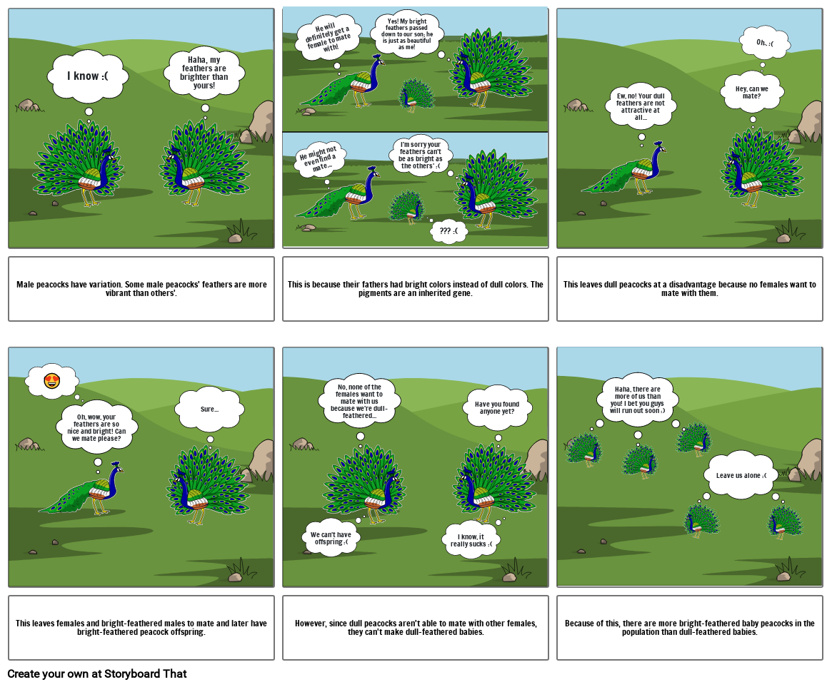 Natural Selection [Peacocks] Storyboard ידי 72fbbb60